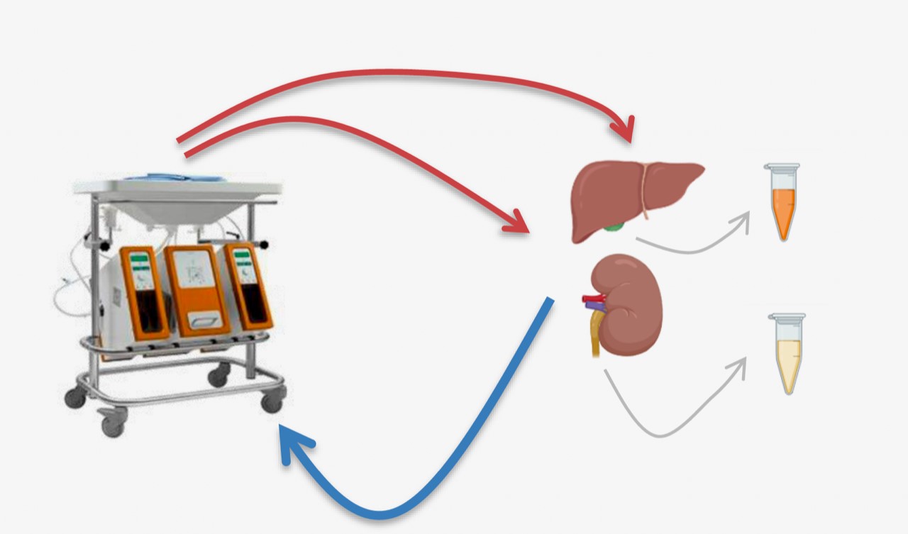 HepMetPro - TNO Ventures